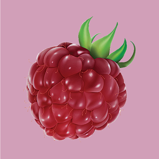 Polar Frost Black Raspberry Sparkling Water